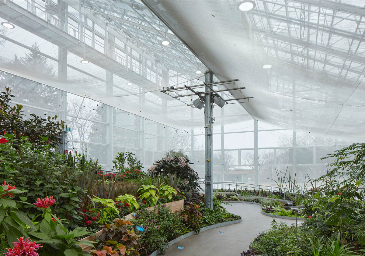 Bildergalerie zu: Insektarium von Kuehn Malvezzi / Es kreucht und ...